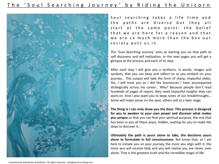 The Soul Searching Journey – Riding the unicorn